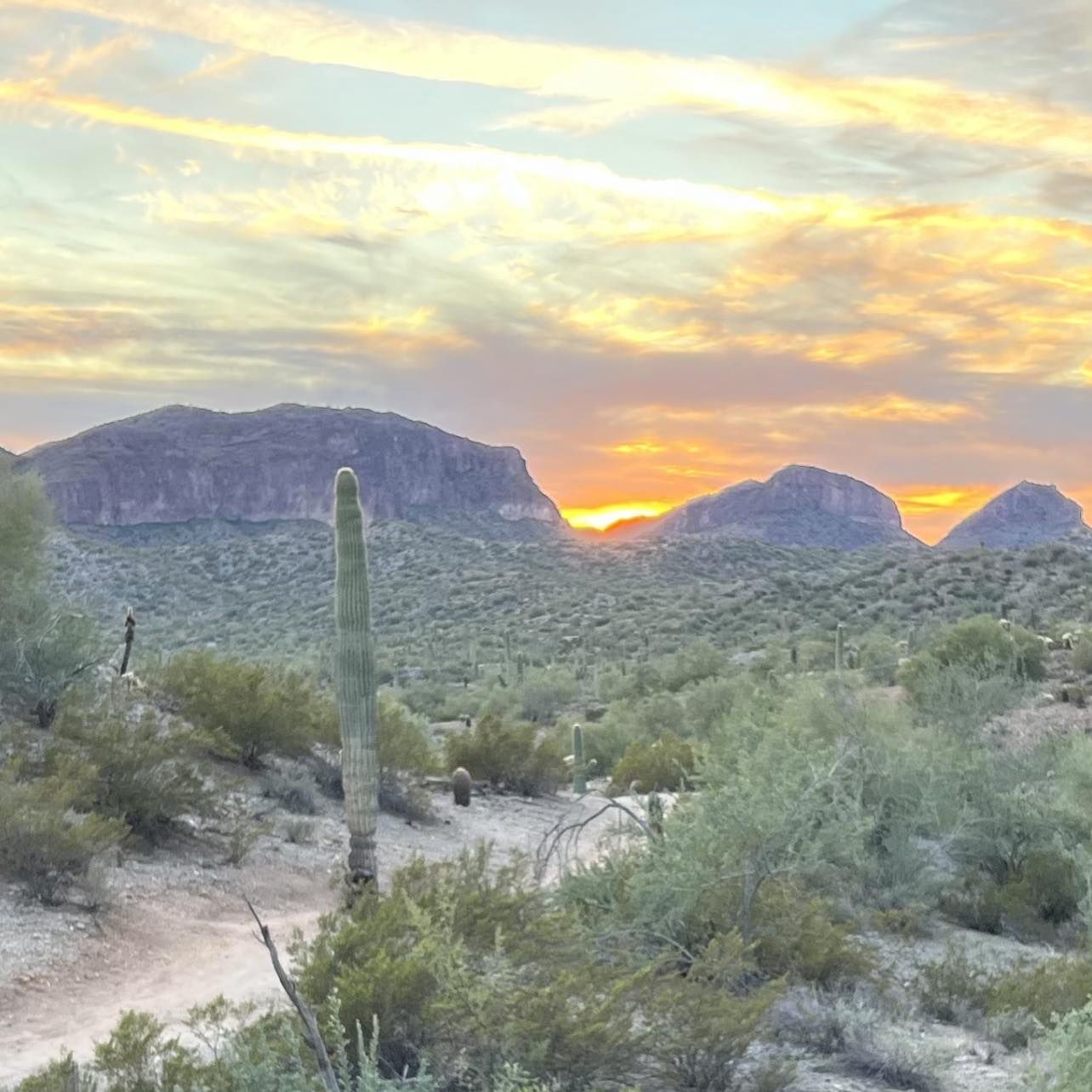 Other Bangladeshi Organizations – Bangladesh Association of Phoenix